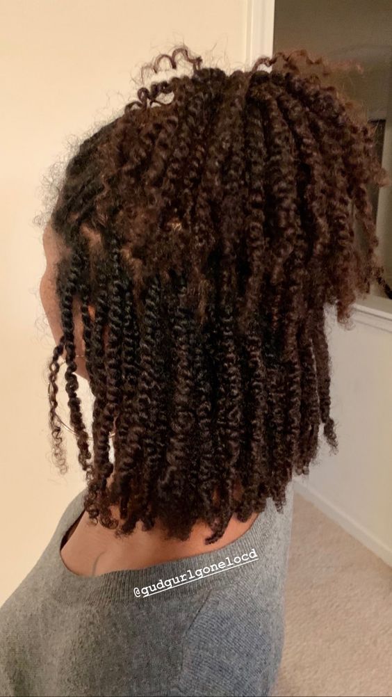 How To Start Locs With Two Strand Twists & Two Strand Twist Locs ...