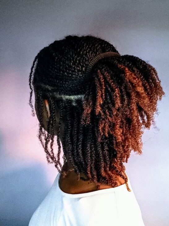 Mini Twists On Natural Hair: The Ultimate 2023 Guide - Happily Curly
